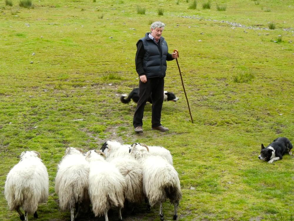 Ireland – The Green Country – Imagine Travel with Judy